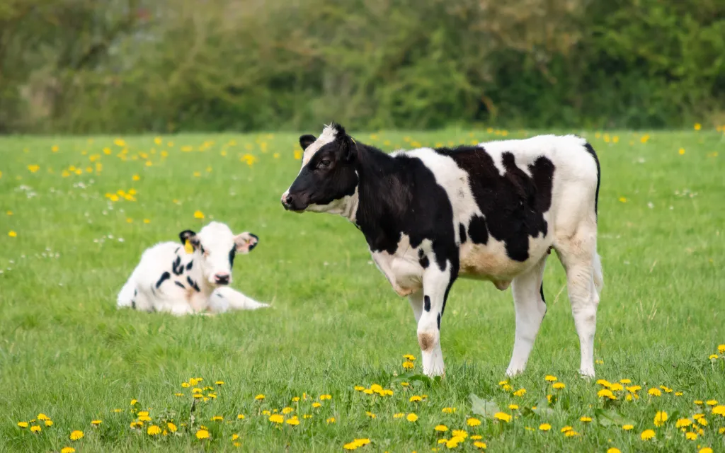 Big data can carry farming forward. Now more than ever, farmers must ...