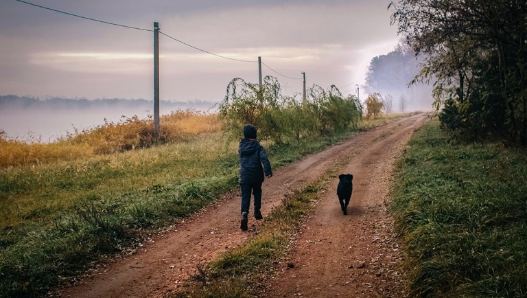 For Dogs, Internal and External Parasite Prevention is More Important ...