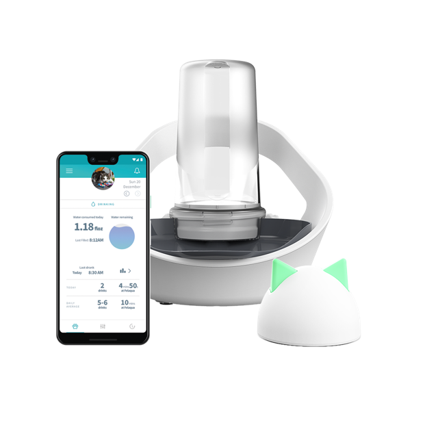 About us - Corporate Home Page – MSD Animal Health