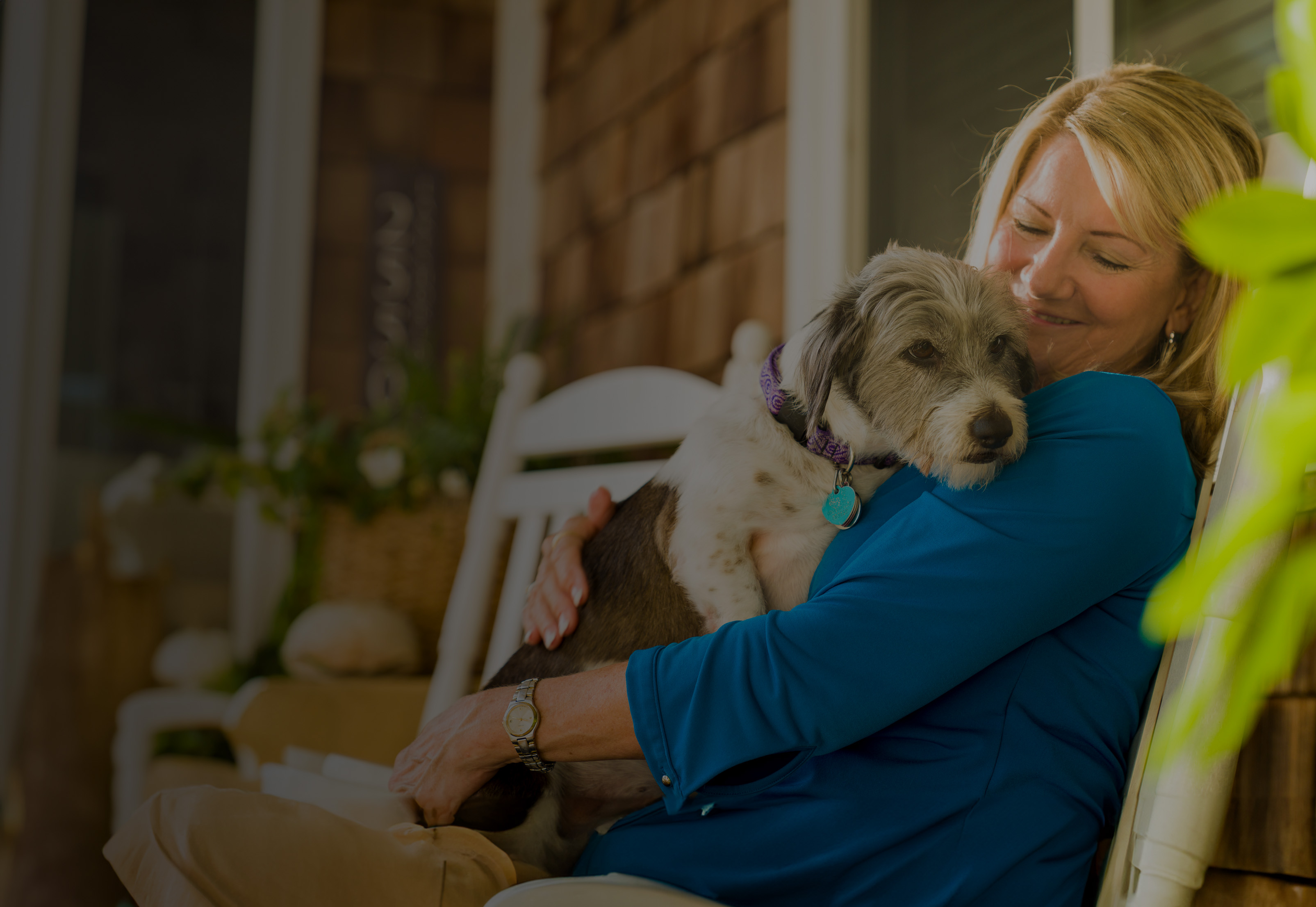 Corporate Home Page - Corporate Home Page – MSD Animal Health