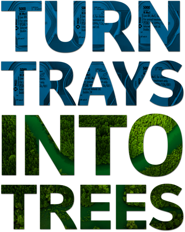 Turn Trays Into Trees with MSD and WeForest