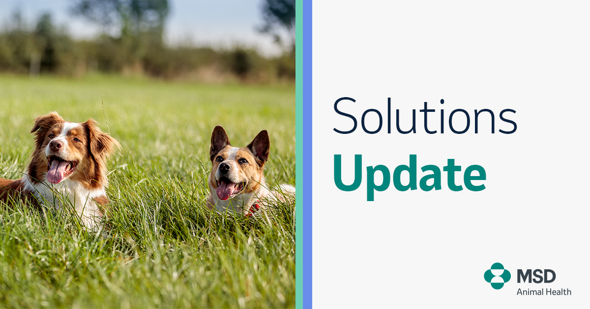 USDA Approves NOBIVAC® NXT Canine Flu H3N2 Vaccine