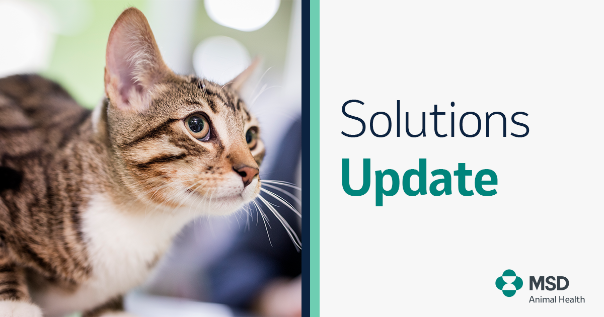 MSD Animal Health's EU Approval for PORCILIS® PCV M Hyo ID